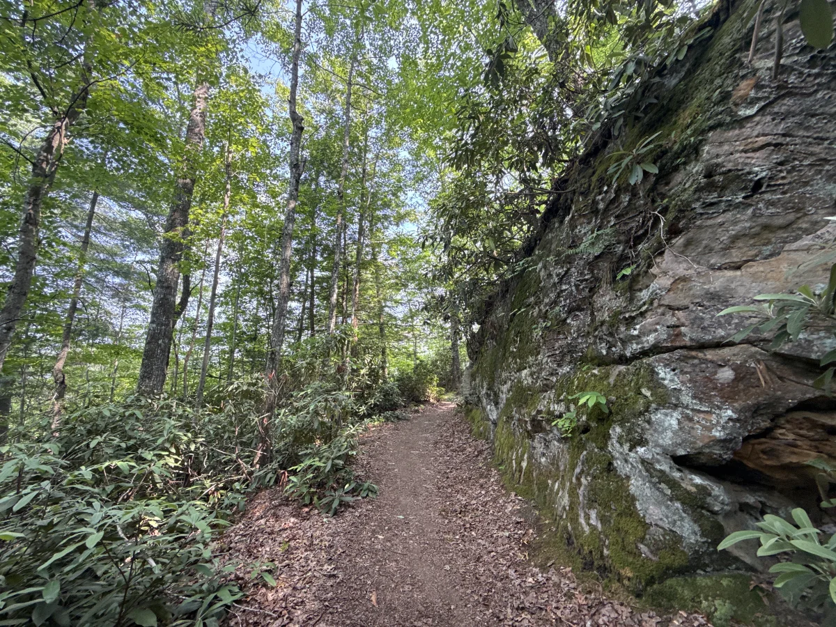 Battleship Rock Trail, Kentucky | Kentucky Trail Guide