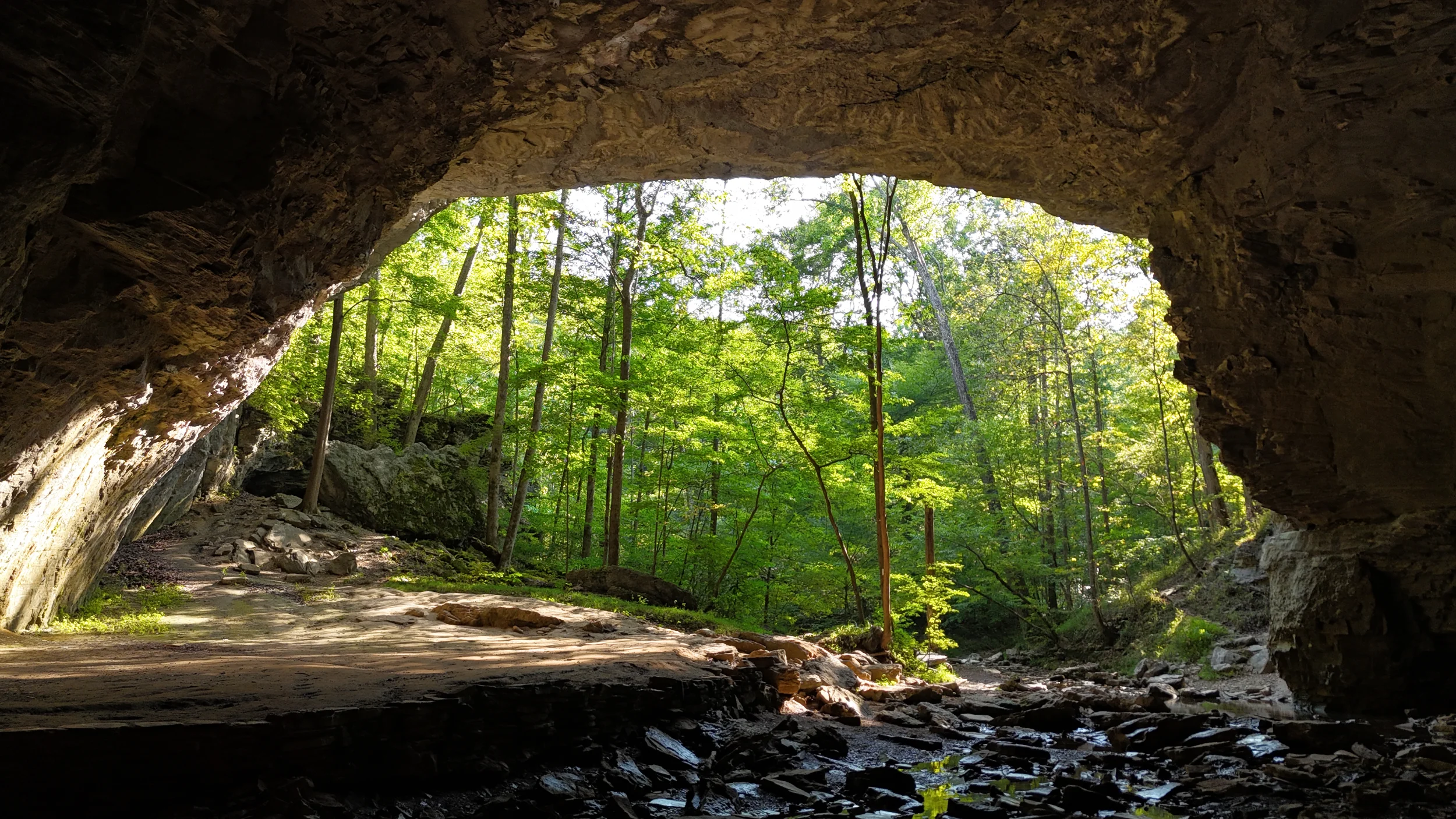 Carter Caves Natural Bridge Trail, Kentucky | Kentucky Trail Guide