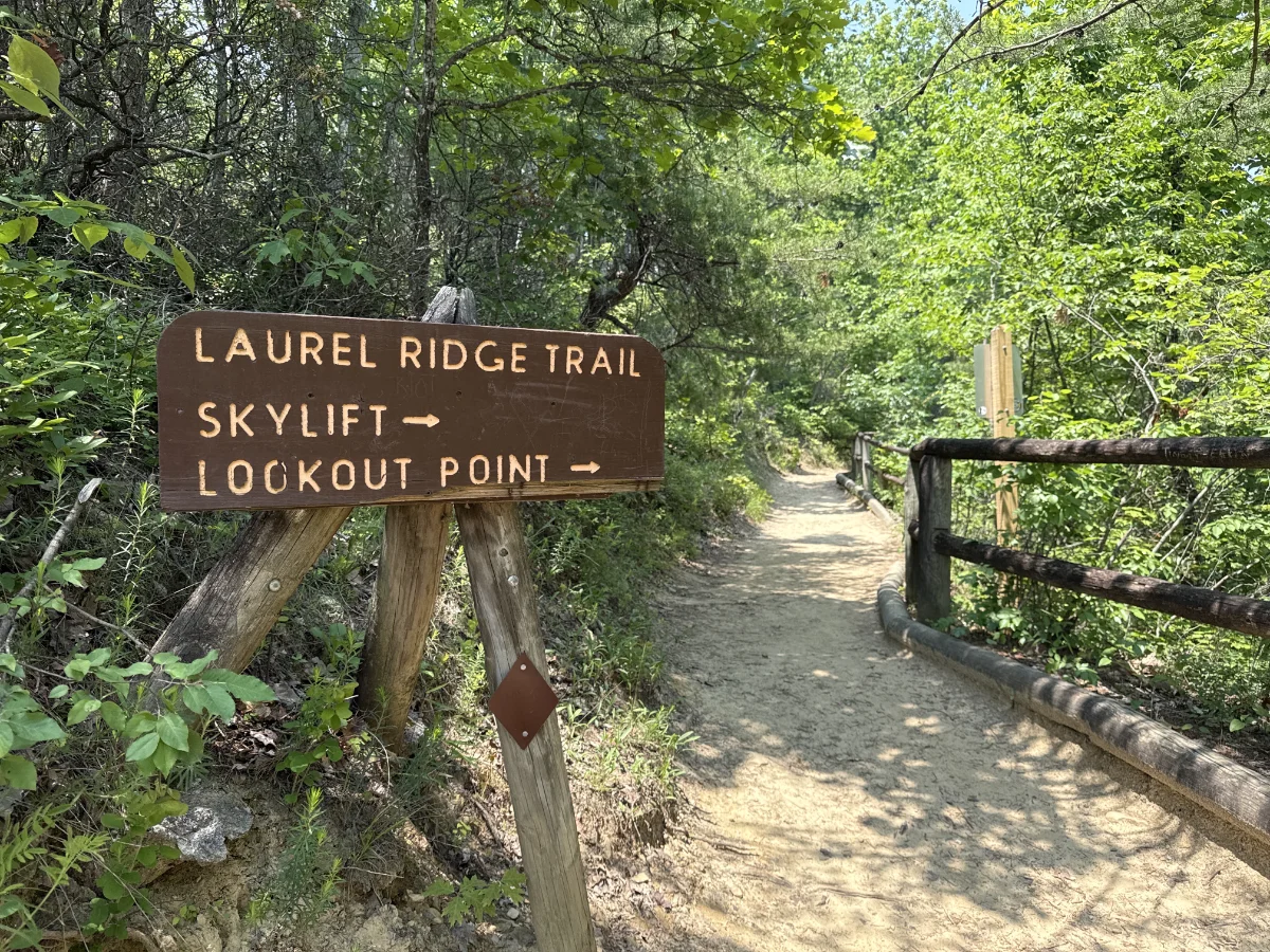 Laurel Ridge Trail, Kentucky | Kentucky Trail Guide